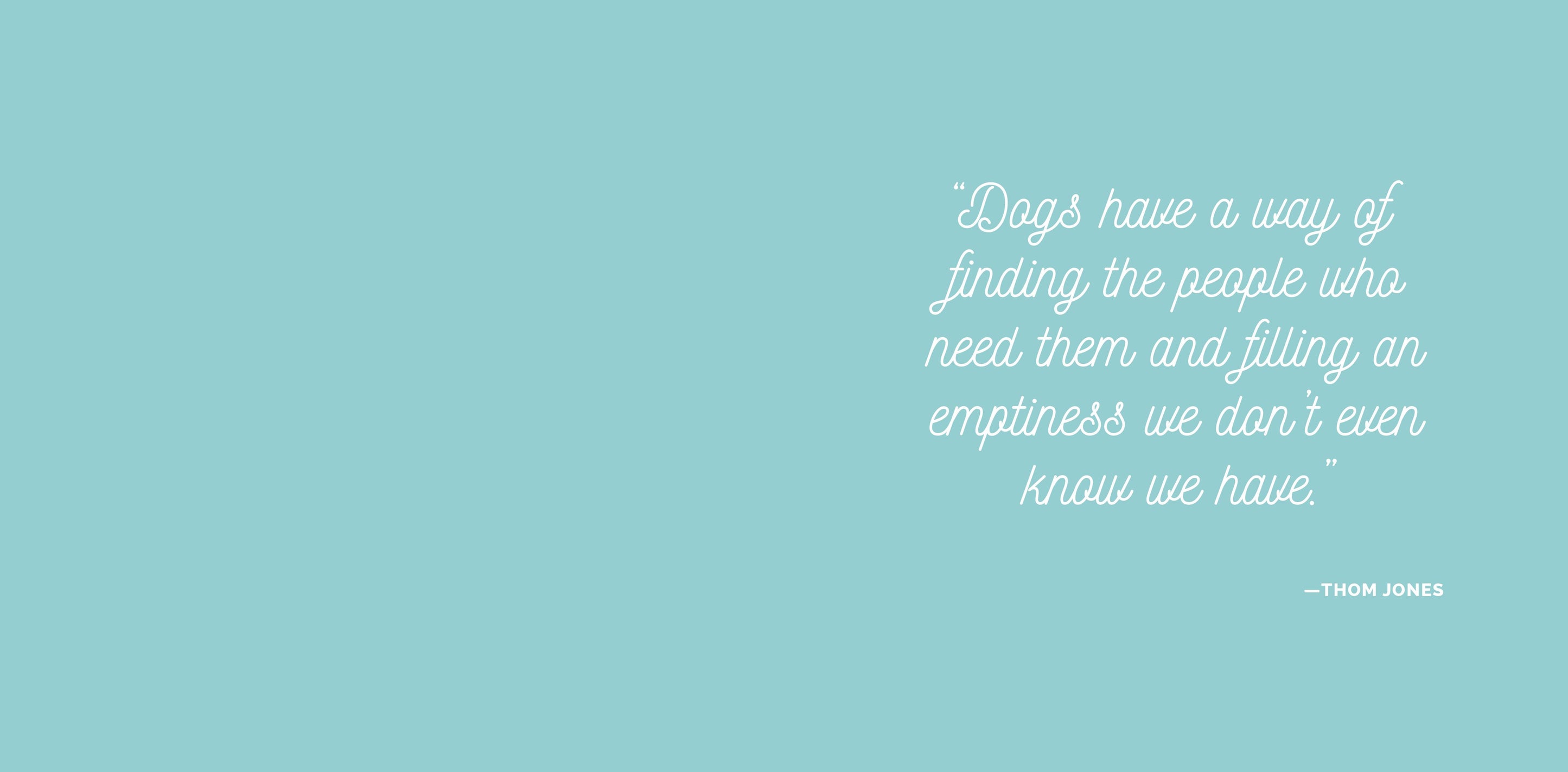 Austin Brown Dogs: The Shelter Dogs Who Rescue Us – Weeva Store